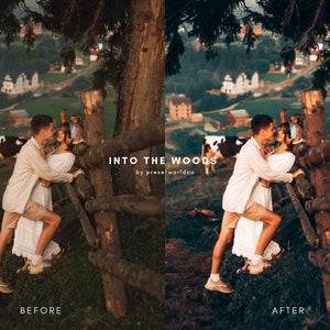 Into the Woods Lightroom Presets | 10 Unique and Moody Filters for ...