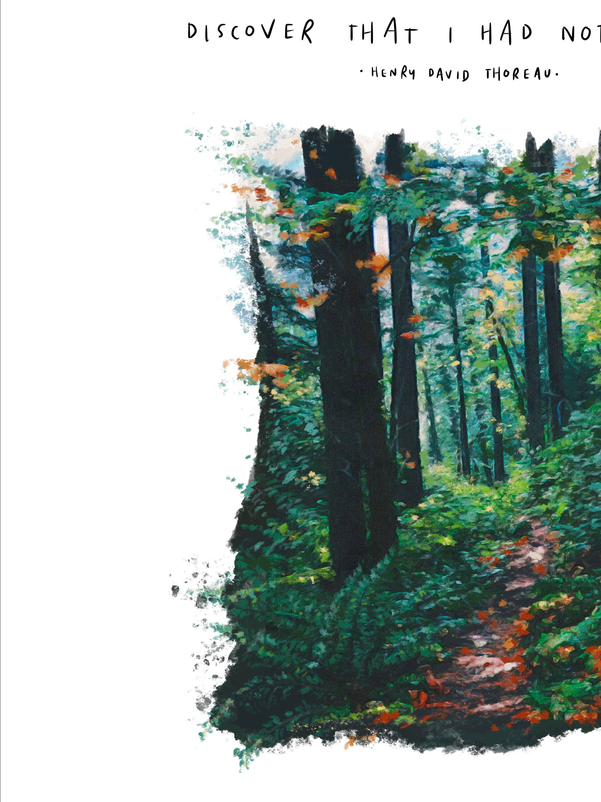 I Went To The Woods by Henry David Thoreau / Art Drawing Poem | Etsy