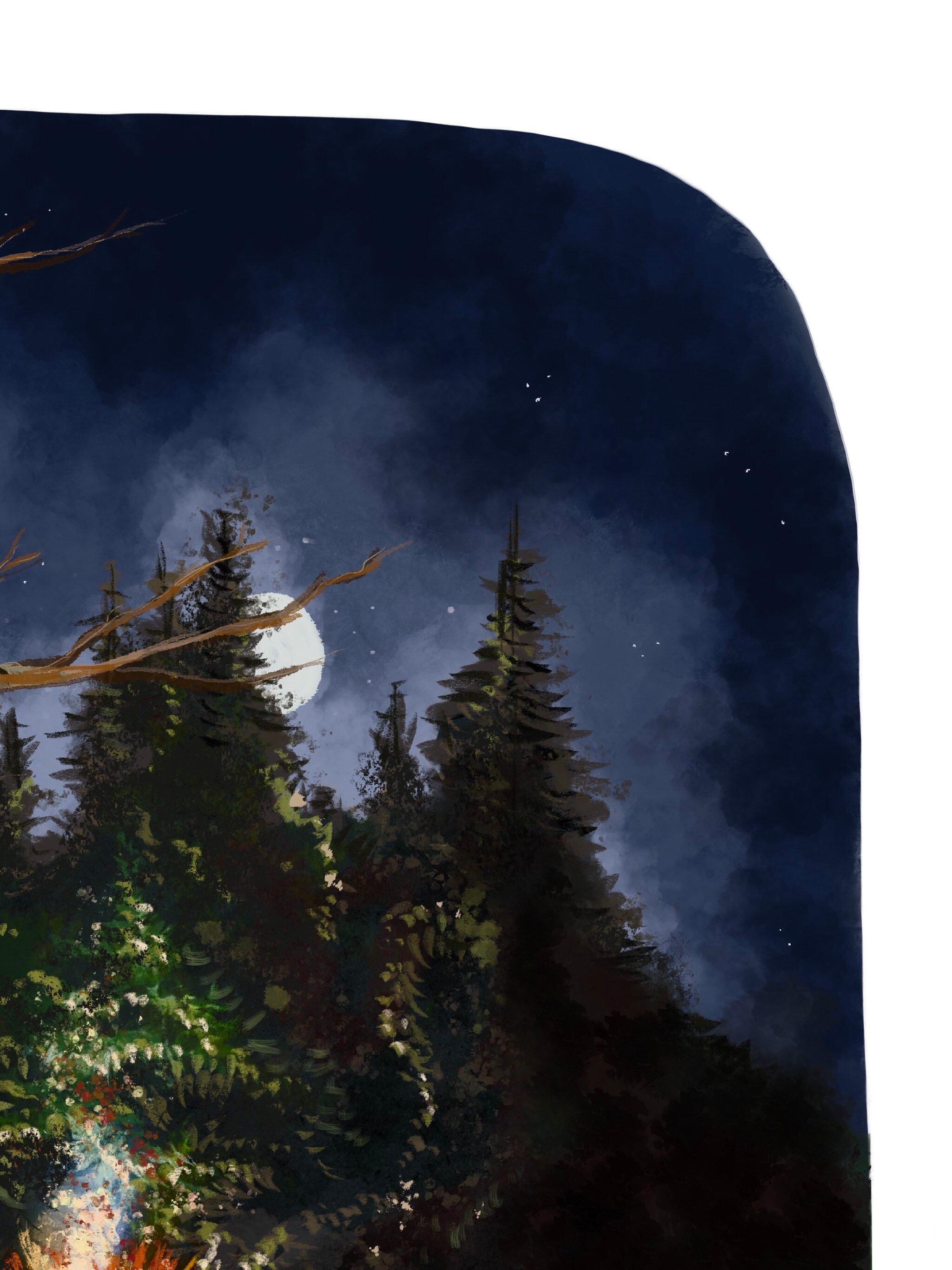 Moonlight Campfire Camping Bonfire Owl Tent Moon Stars Woods | Etsy