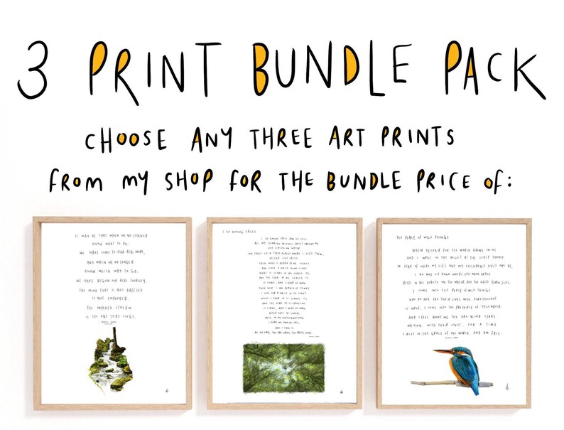 3 Print Bundle Package / Art Print Poster Drawing Painting - Etsy