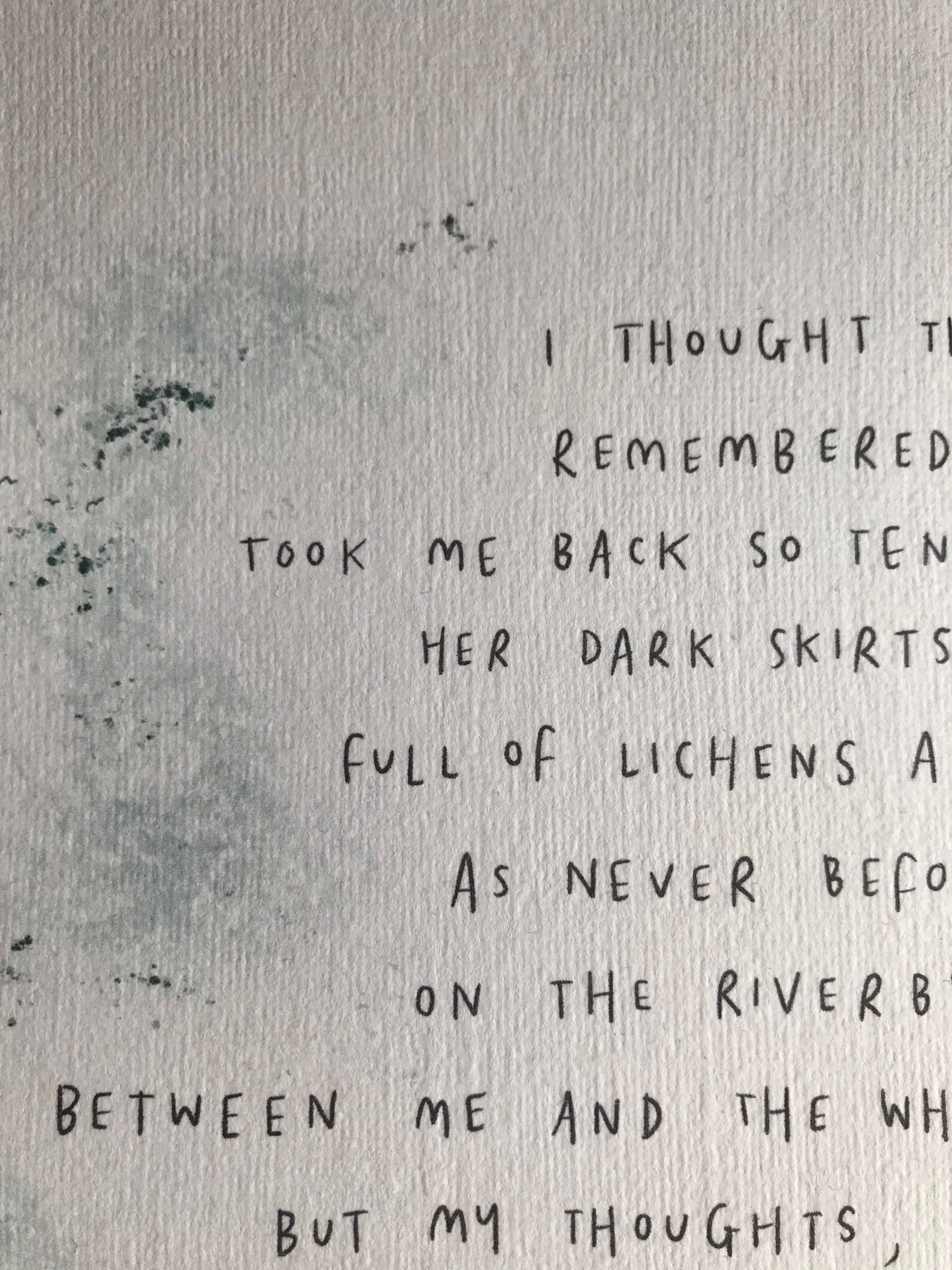 Sleeping in the Forest by Mary Oliver / Pine Trees Forest - Etsy