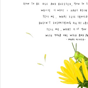 Summer’s Day by Mary Oliver / Grasshopper / Wild Precious Life / Art ...