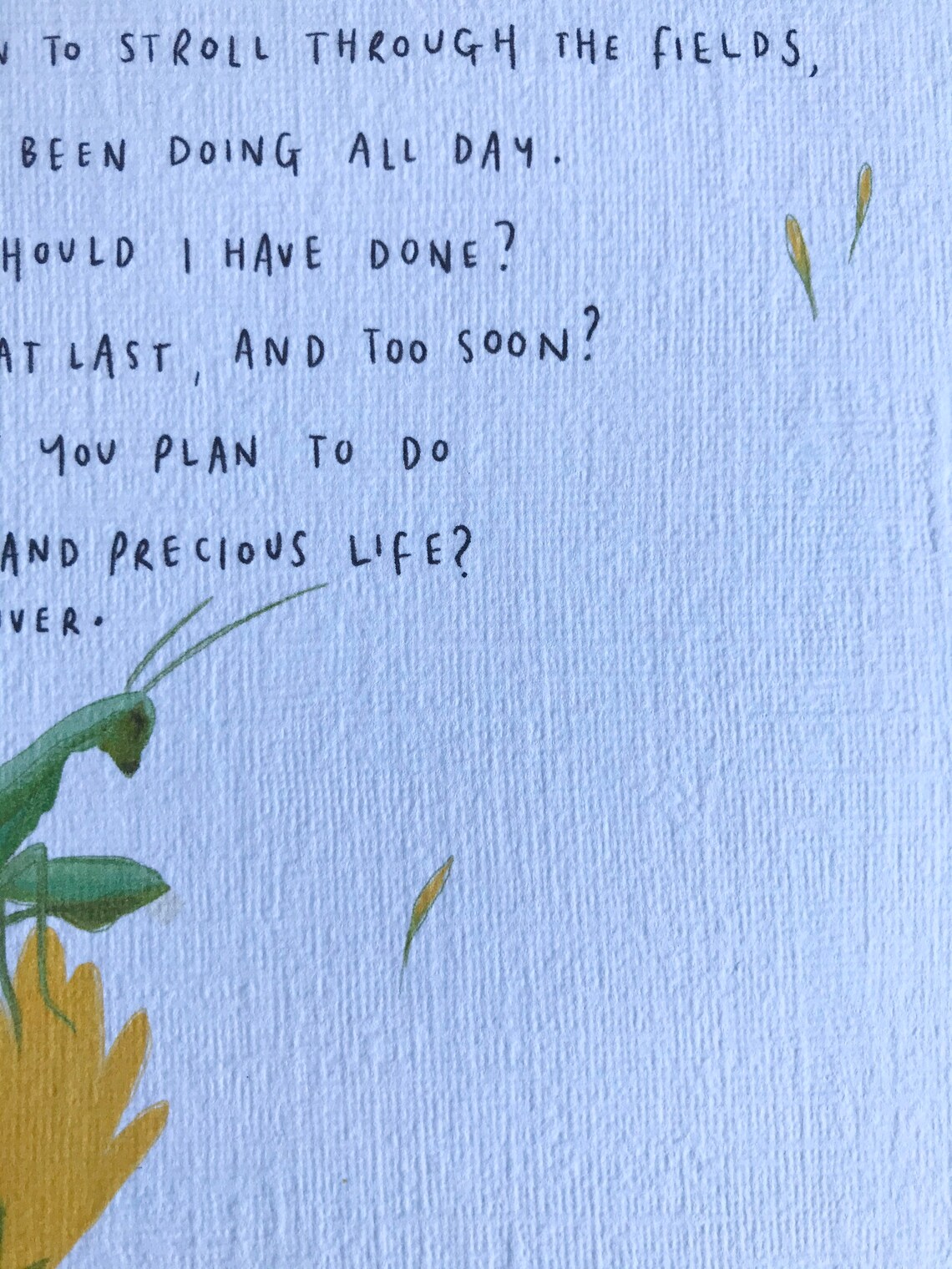 Summers Day by Mary Oliver / Grasshopper / Wild Precious Life | Etsy