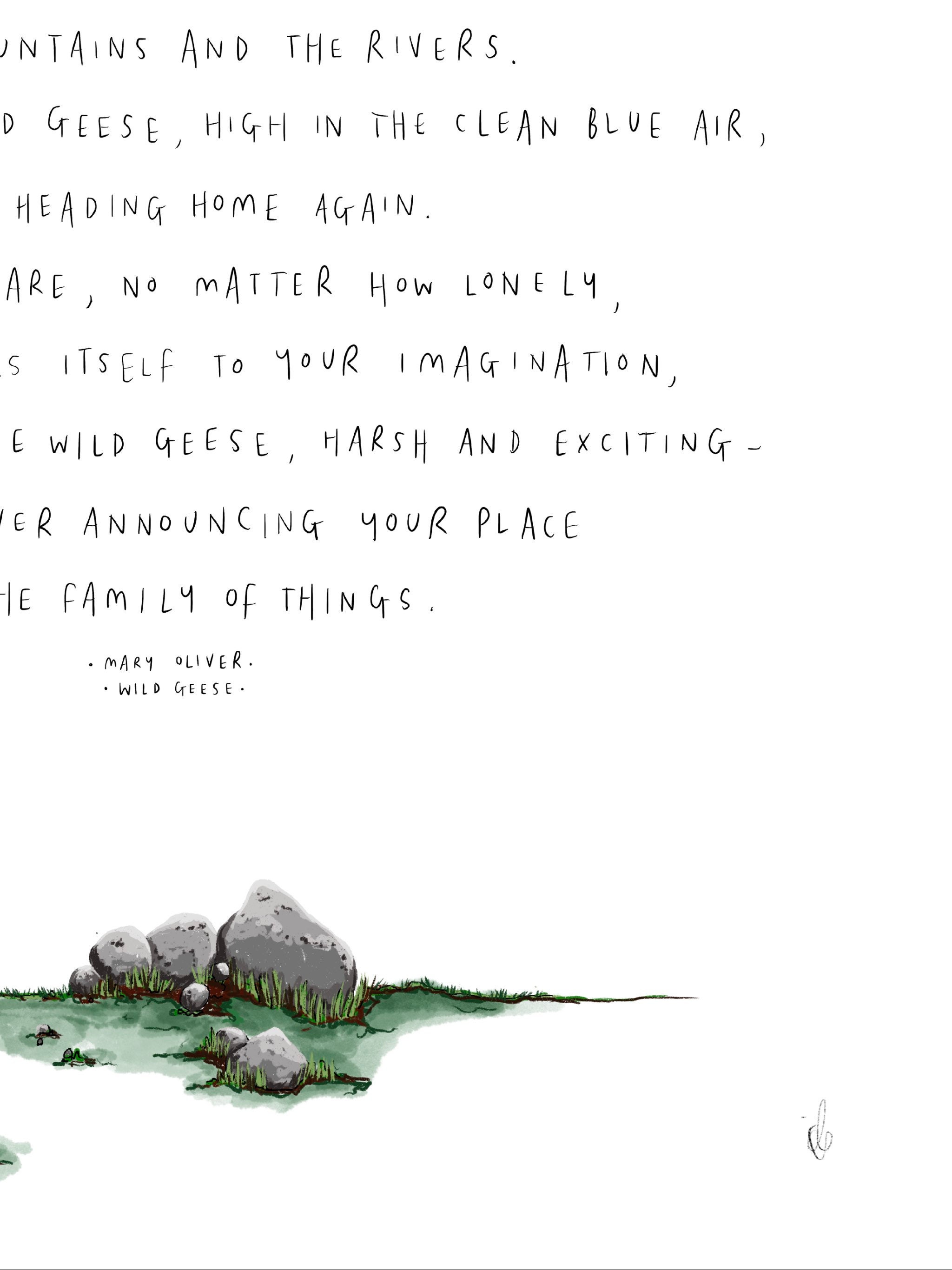 Wild Geese by Mary Oliver / Poem Art Print Poster Drawing - Etsy Canada