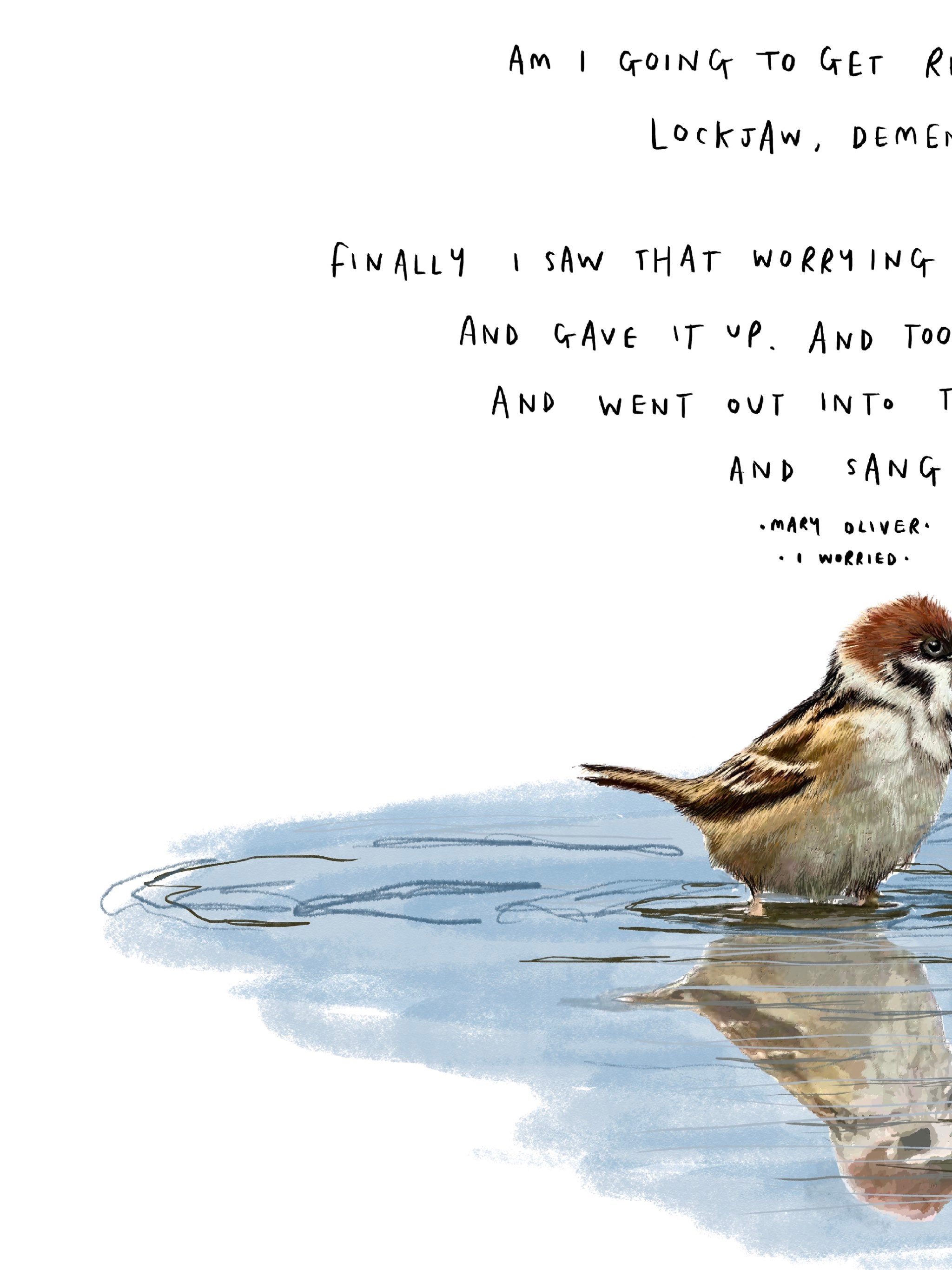 I Worried by Mary Oliver / Birds Sparrow Poem Art Print Poster Painting ...