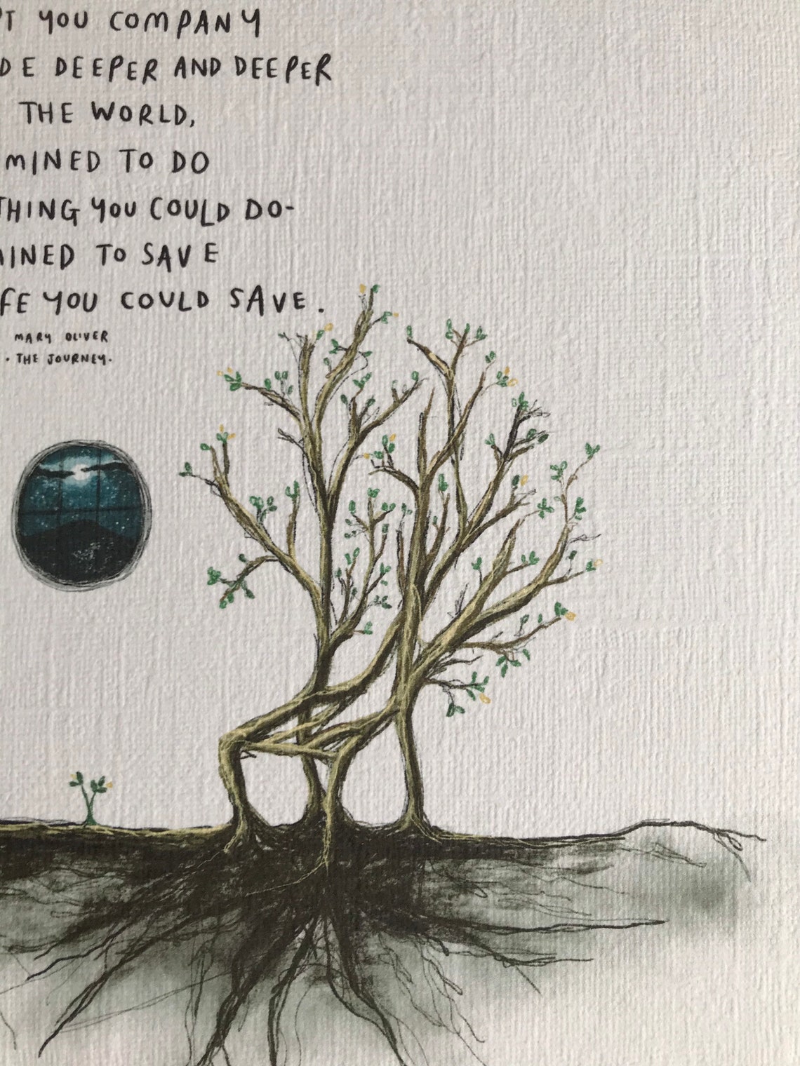 Mary oliver the journey - strategylader