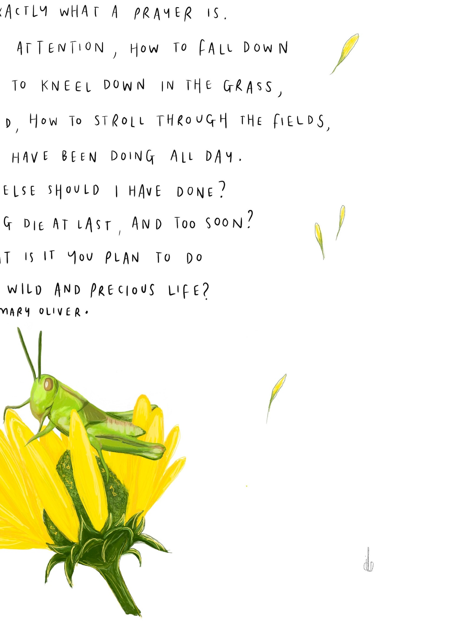 Summers Day by Mary Oliver / Grasshopper / Wild Precious Life - Etsy