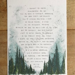 Sleeping in the Forest by Mary Oliver / Pine Trees Forest Green Poem ...