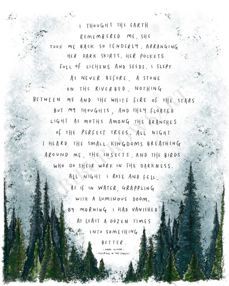 Sleeping in the Forest by Mary Oliver / Poem Art Drawing | Etsy