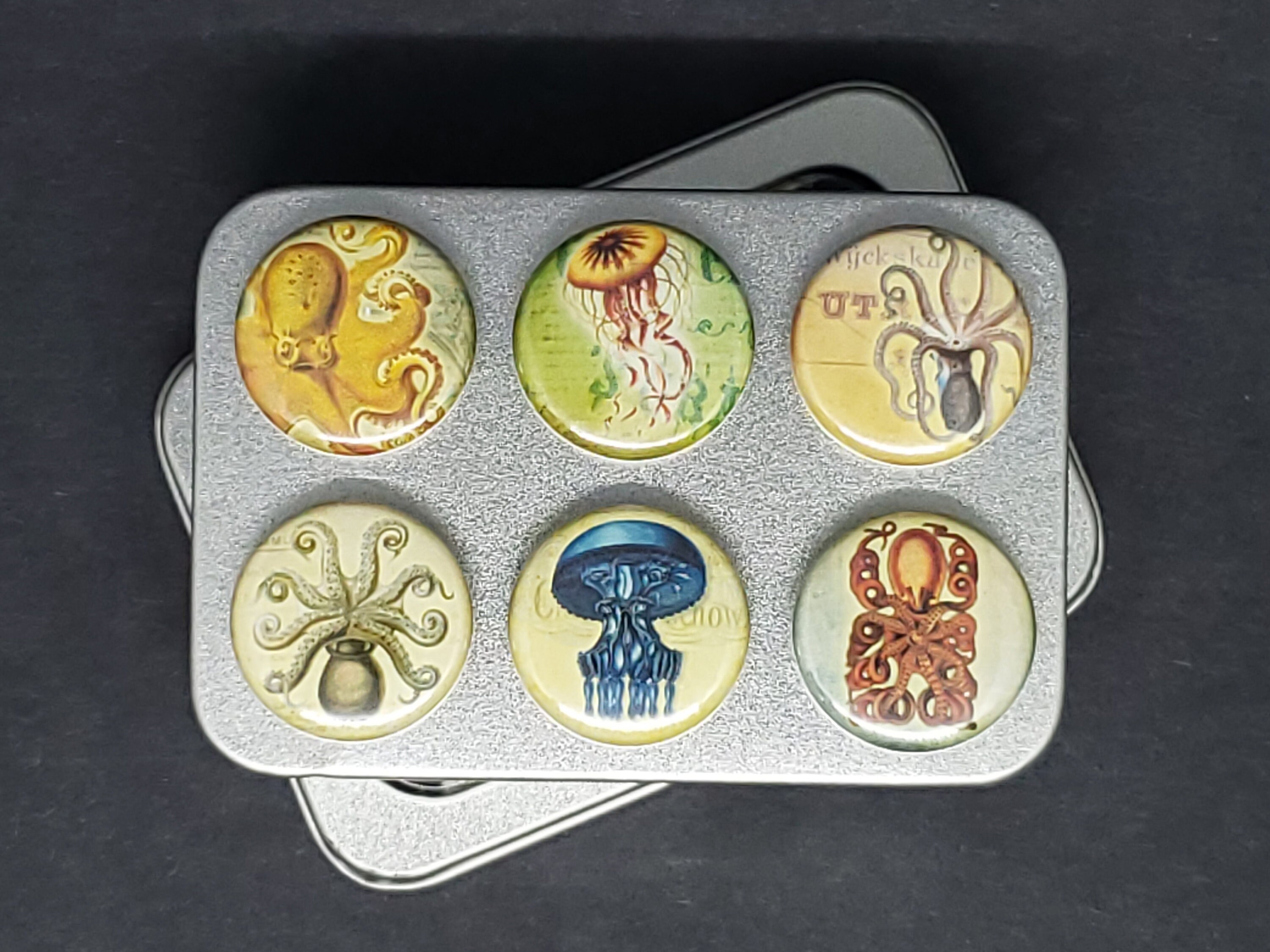 Sea Life Octopuses Squid and Jellyfish 1 Magnet or Pin Back Button Set ...