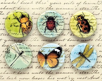 Vintage Style Beetles 1 Magnet or Pin Back Button Set | Etsy