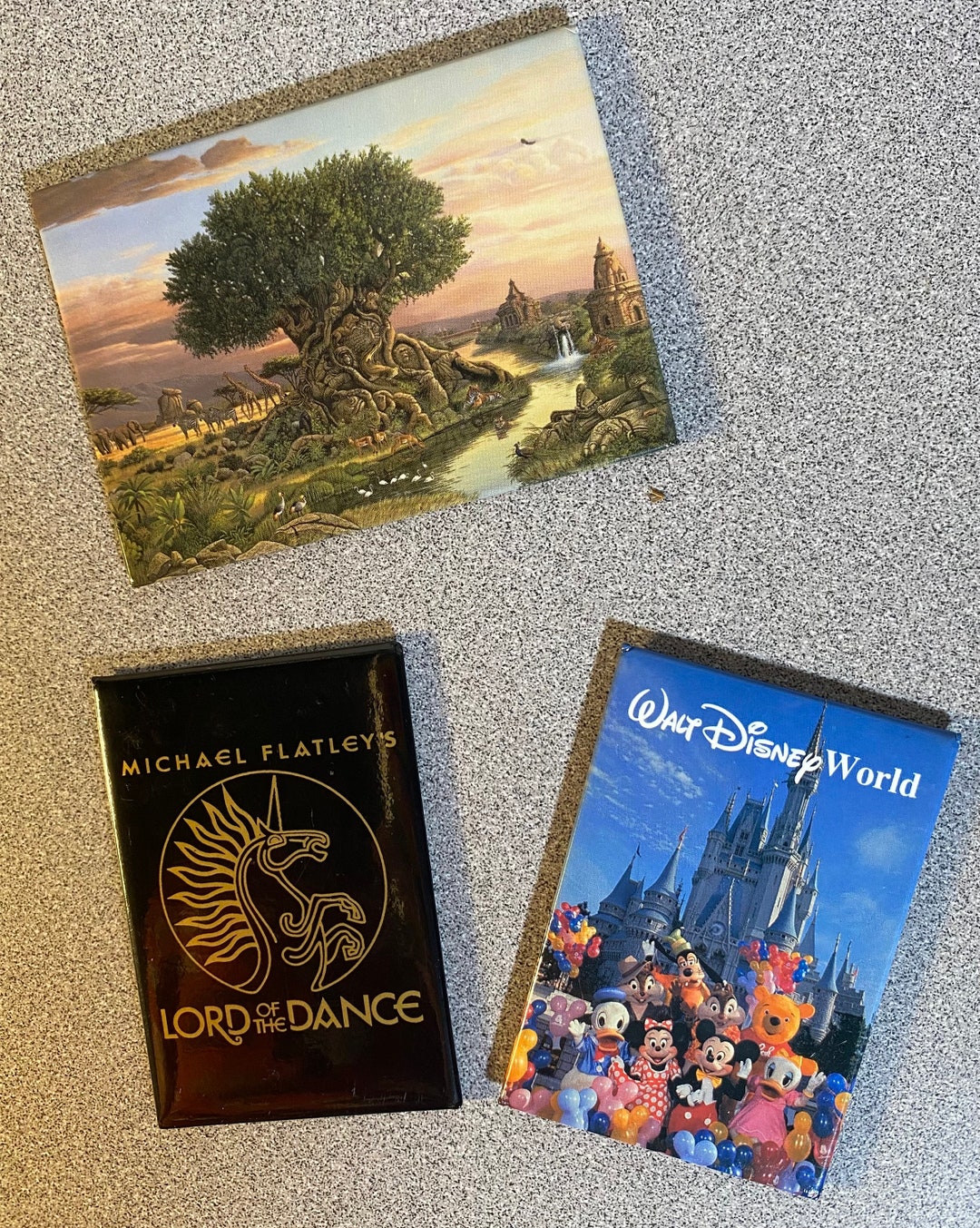 Disney Parks Walt Disney World Magnet Lot - Etsy
