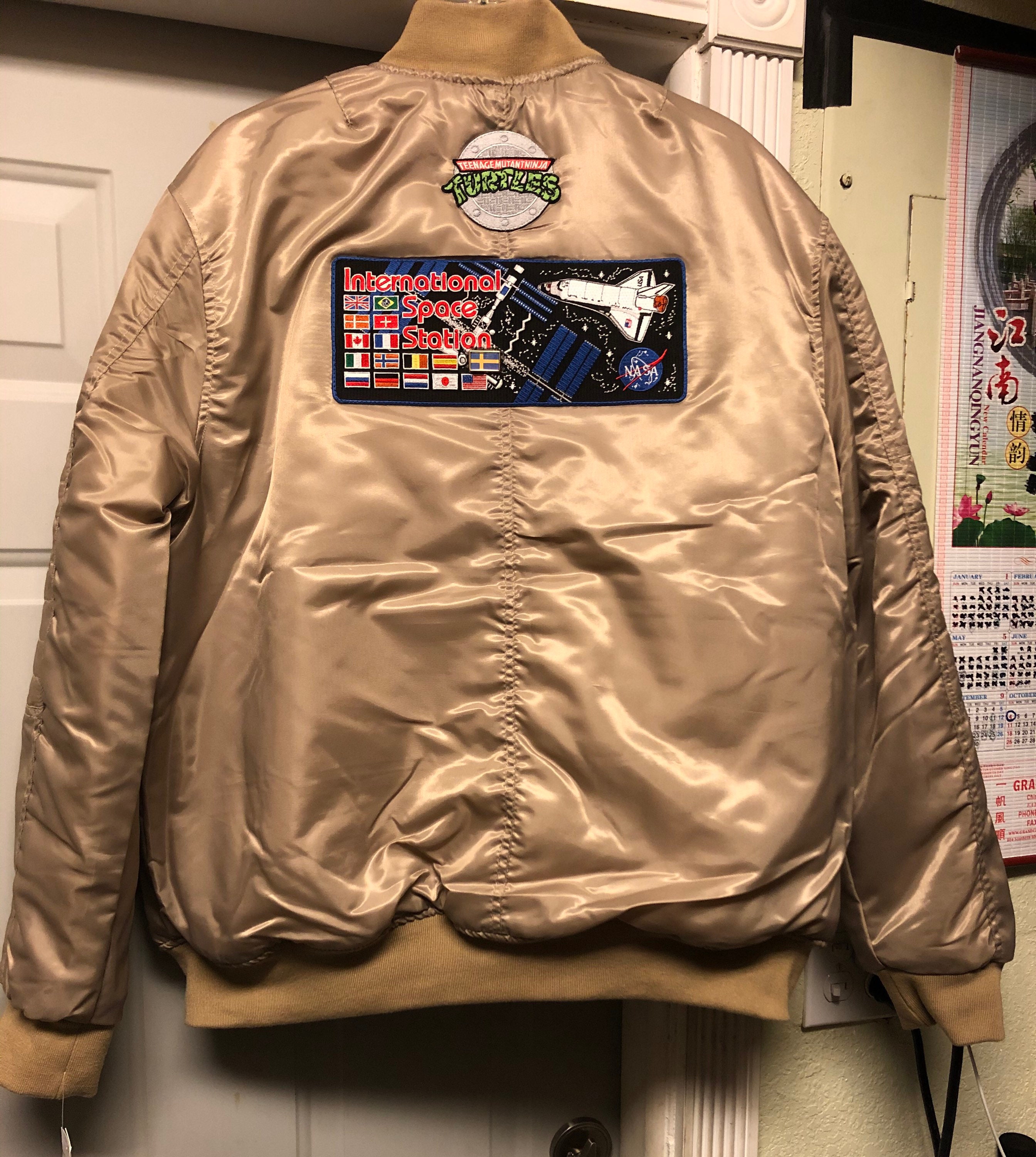 The Nasa TMNT Multi-purpose Logistics Module MPLM Raffaello ...