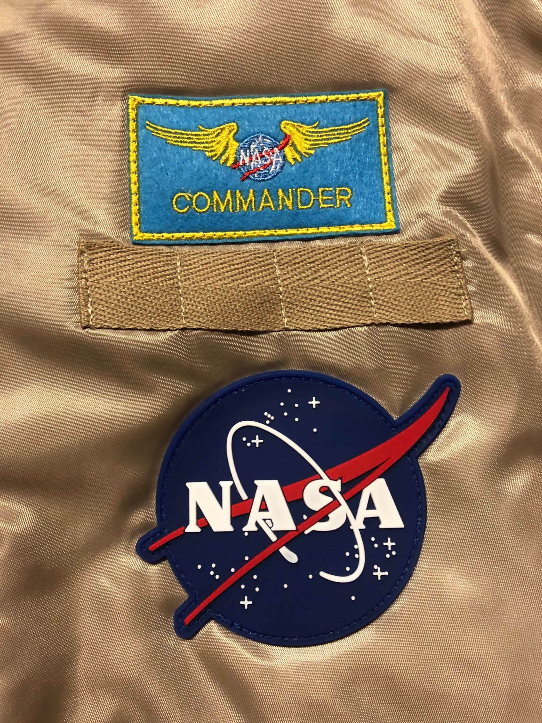 The Nasa TMNT Multi-purpose Logistics Module MPLM Raffaello ...