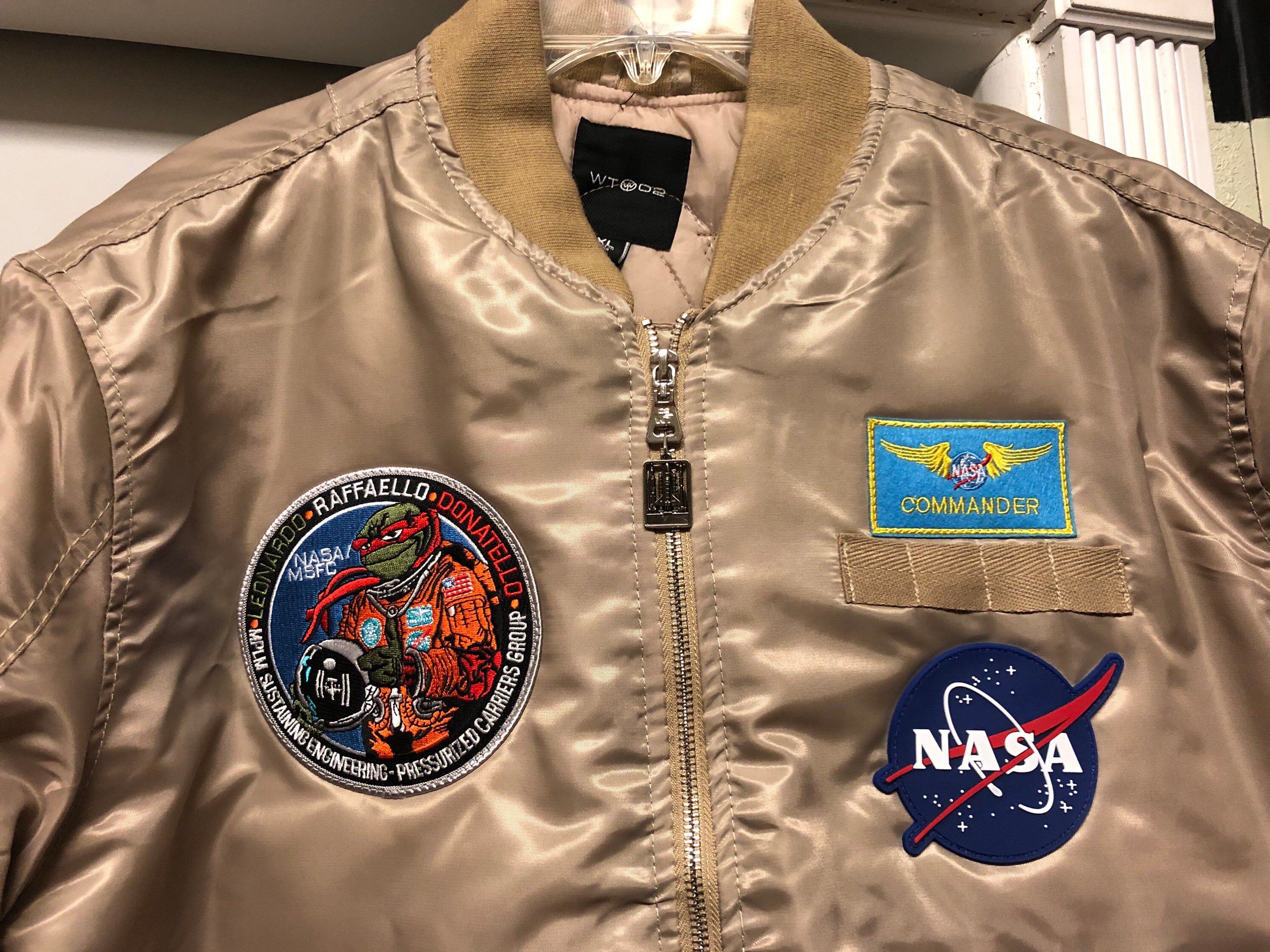 The Nasa TMNT Multi-purpose Logistics Module MPLM Raffaello ...