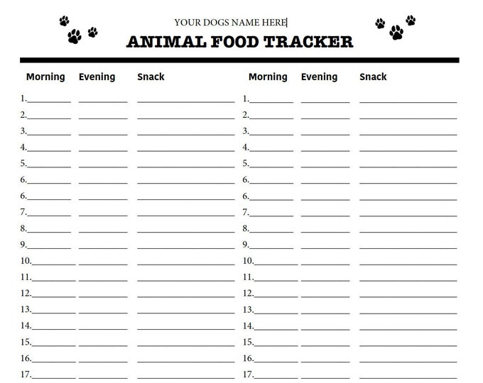 Animal Feeding Schedule Check off Chart - Etsy