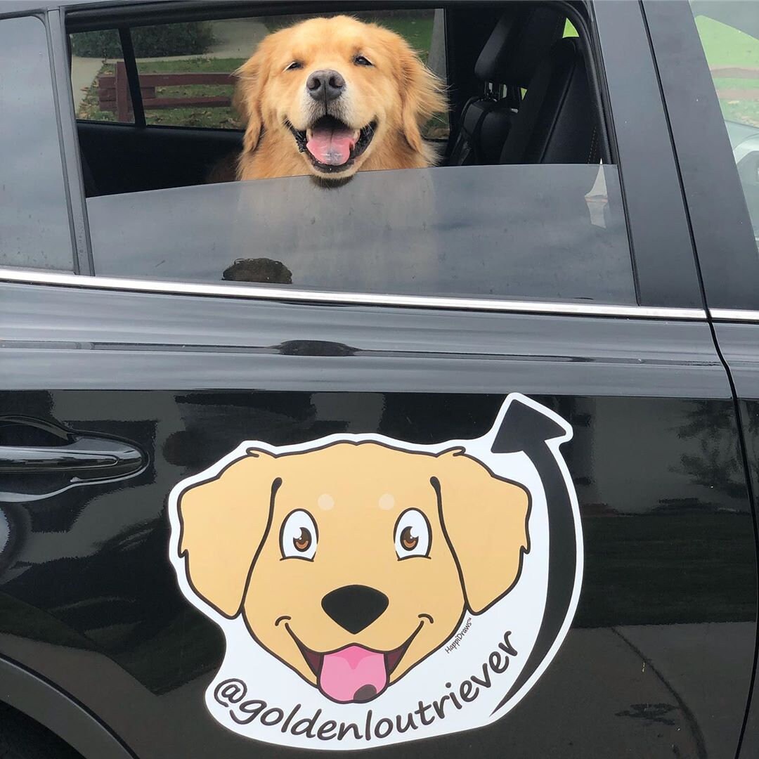 Custom Dog Magnets Custom Vinyl Custom Illustration - Etsy