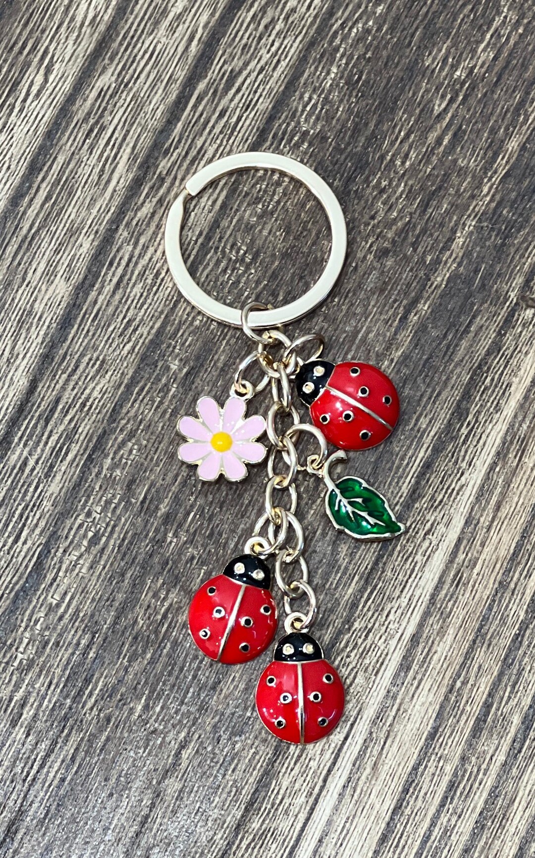 Lady Bug Keychain - Etsy