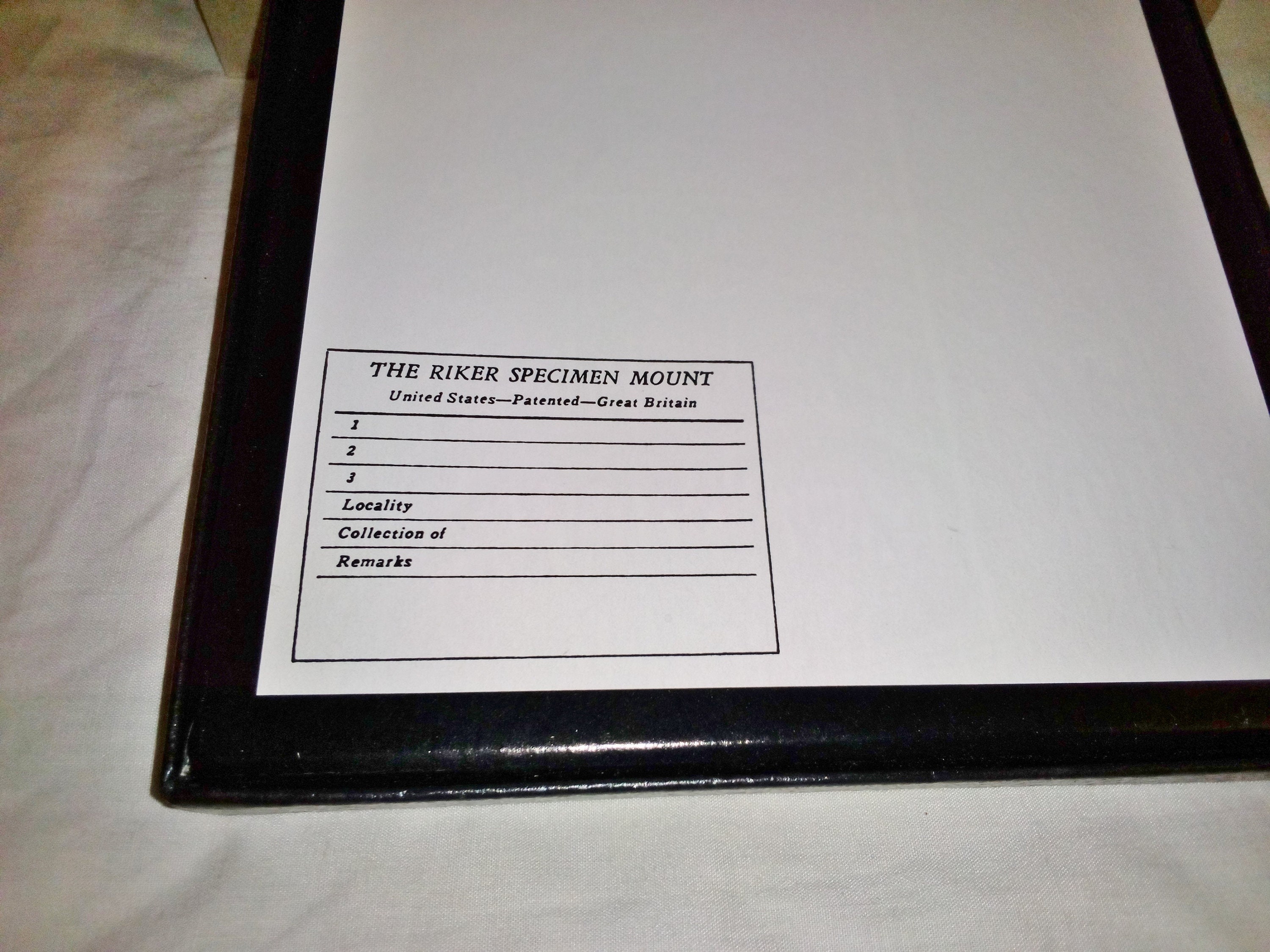 Riker Mount Frames for Insects Gems Collectibles Jewelry Pack of 5 per ...