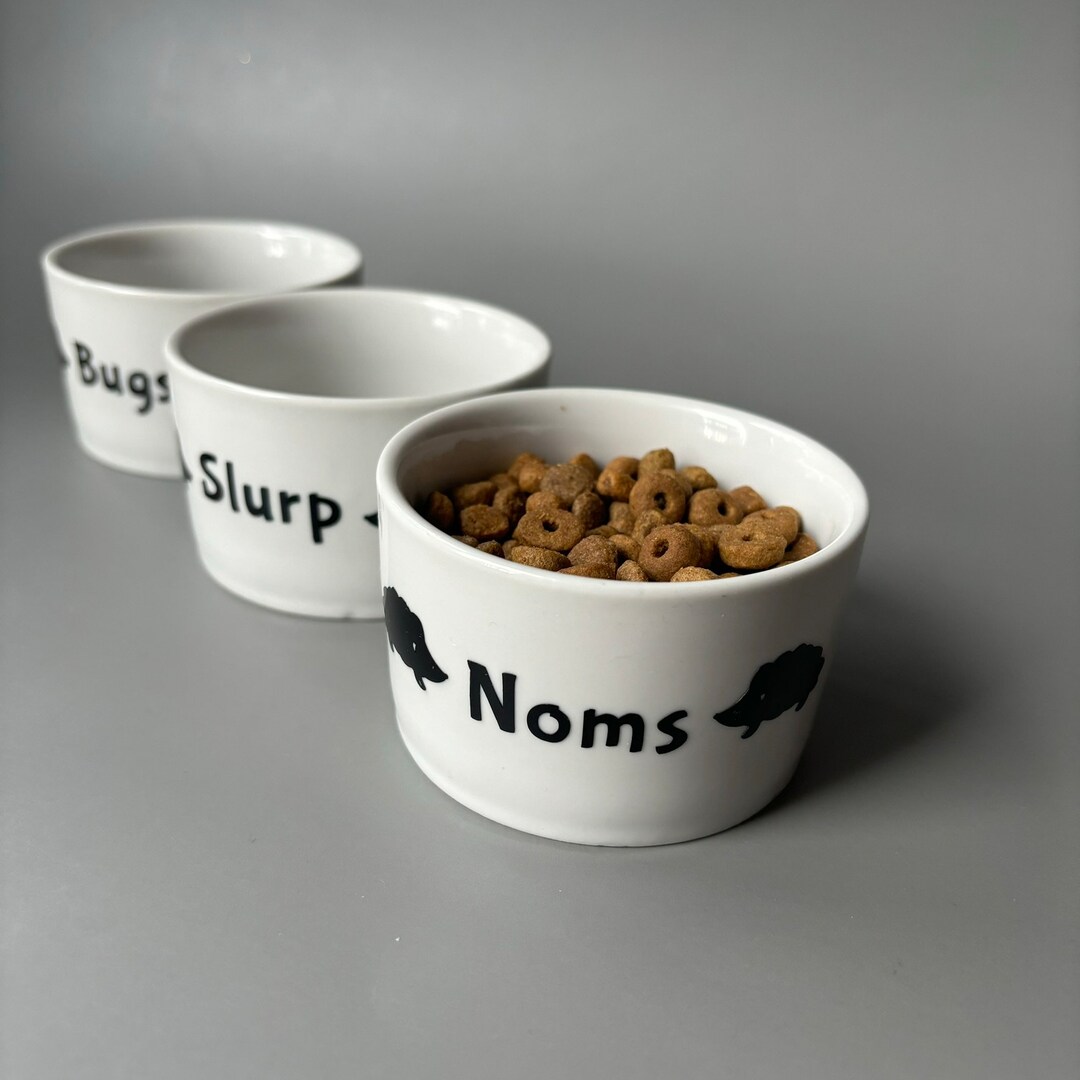 Deep Edge Ceramic Hedgehog Food and Water Bowls. Noms, Slurp and Bugs ...