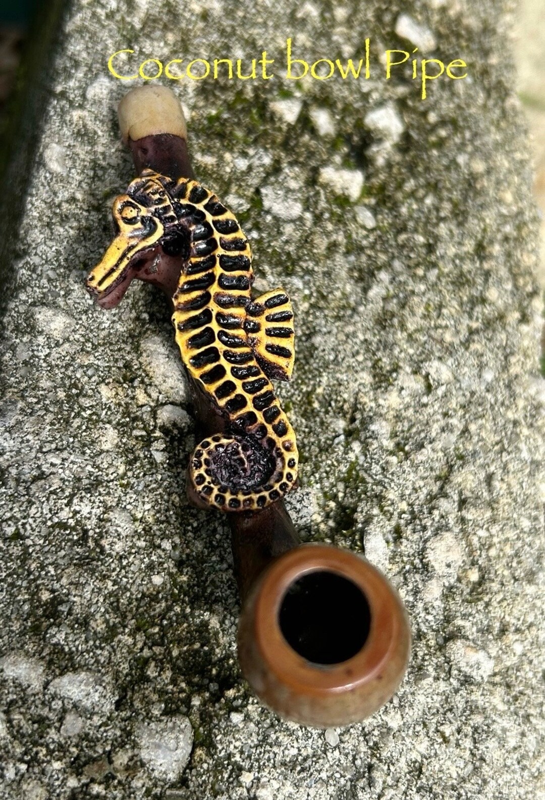 Seahorse Pipe, Coconut Bowl Pipe, Smoking Hand Pipe,handmade Spiritual ...