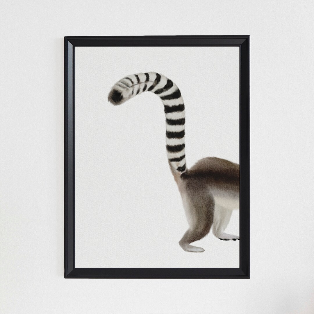 Tail Tales Collection: 'lemur Luxe' - Elegant Lemur Poster, Artistic ...