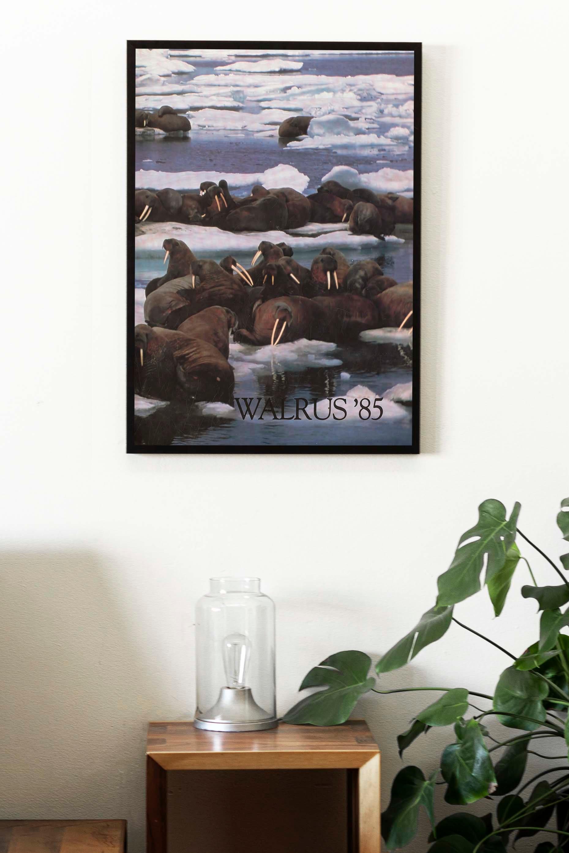 Walrus 1985 Outdoor Magazine Front Cover Poster, 80s Style Print ...