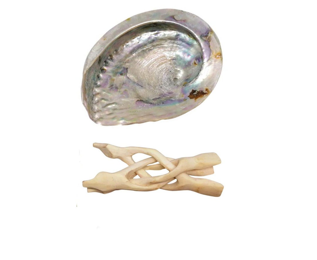 Abalone Shell & Wooden Tripod Stand: Smudge Stick Holder - Etsy