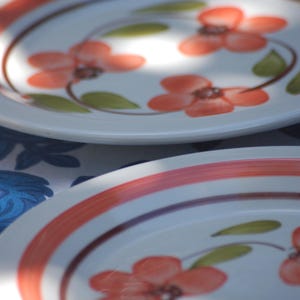 Vintage Italian Dessert Plates: Salmon Floral Ceramic Set - Etsy