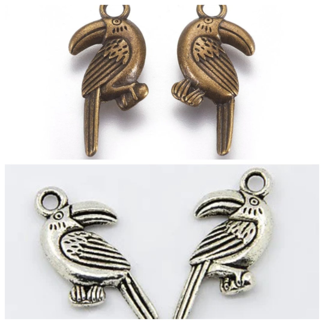 10 Choice of Color Toucan Bird Charms 25x11mm (b184d/186d) - Etsy