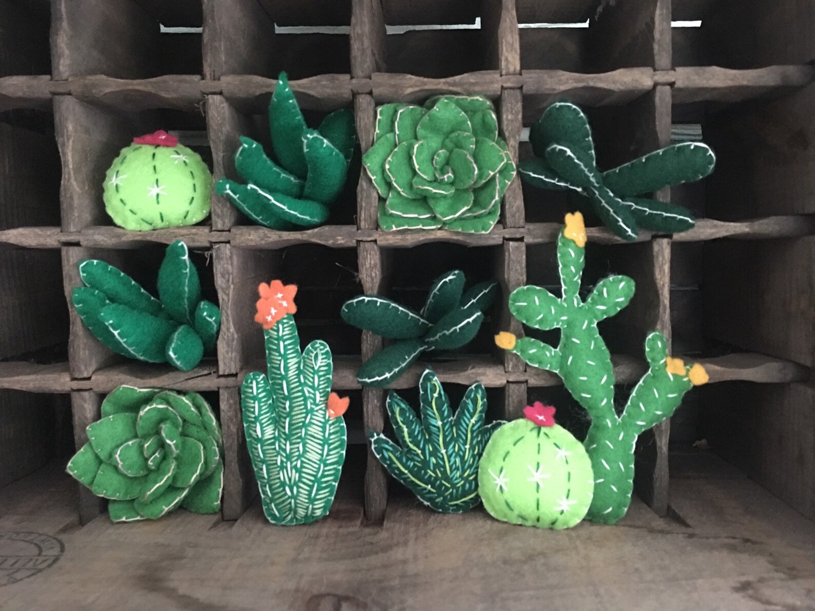 Felt Succulents Felt Cactus Cactus Plant Gift Succulent - Etsy