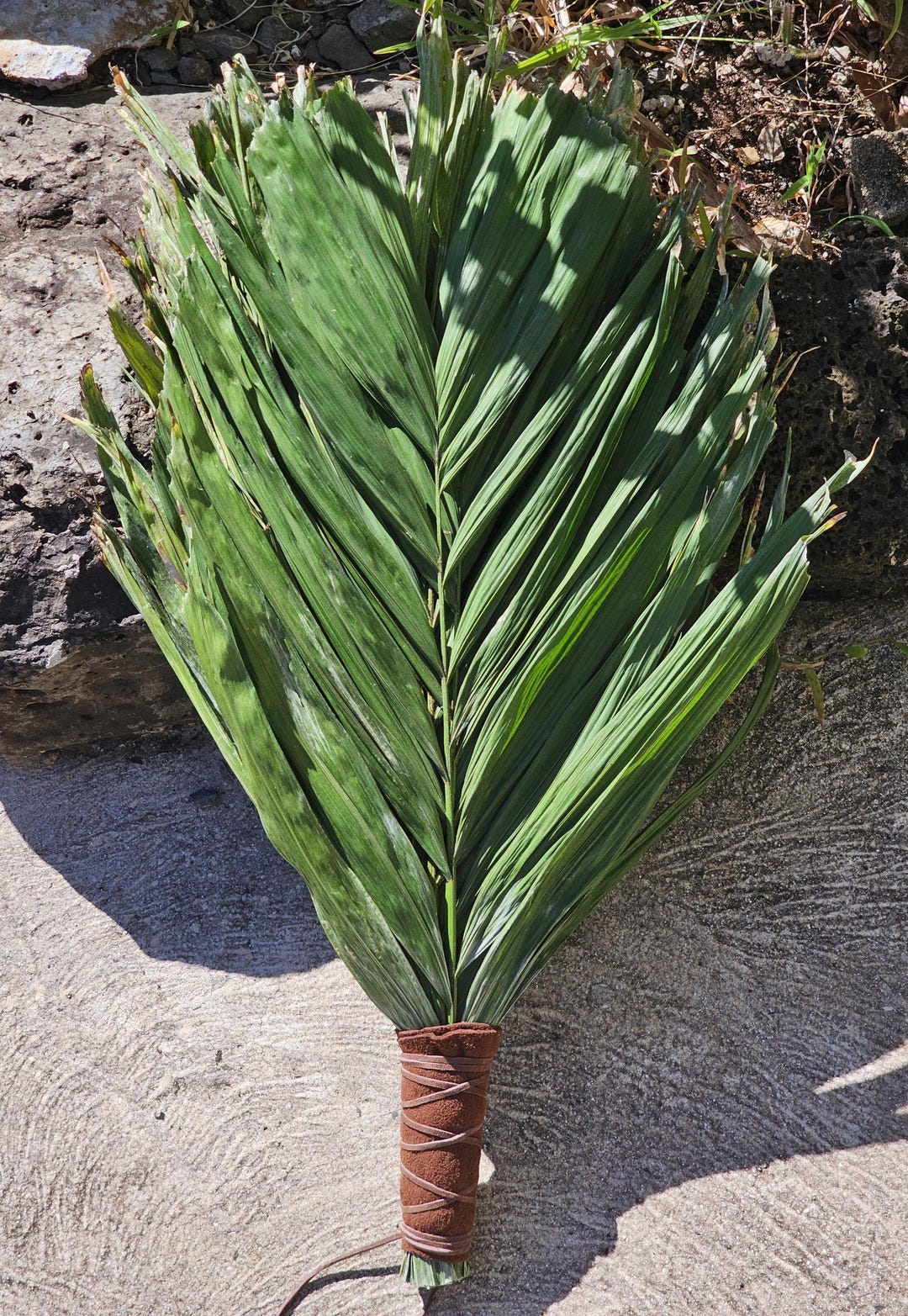 Chakapa | Leaf Shaker | Ceremony | Shaman Tool | Healing Tool | Sound ...