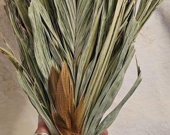 Chakapa | Leaf Shaker | Personal | Leaf Rattle | Shaman Tool | Healing ...