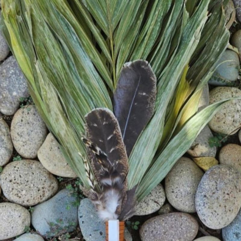 Shamanic Rattle - Etsy