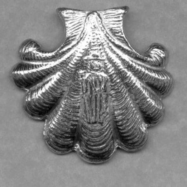 Scallop Shell - Etsy