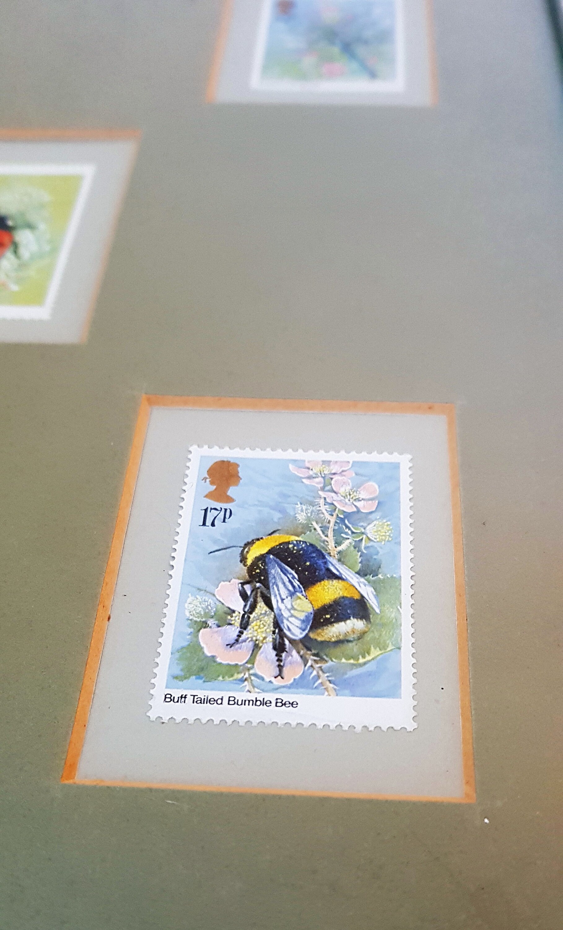 Collectable 1985 Insect Stamps Profesionally Framed by C.M - Etsy