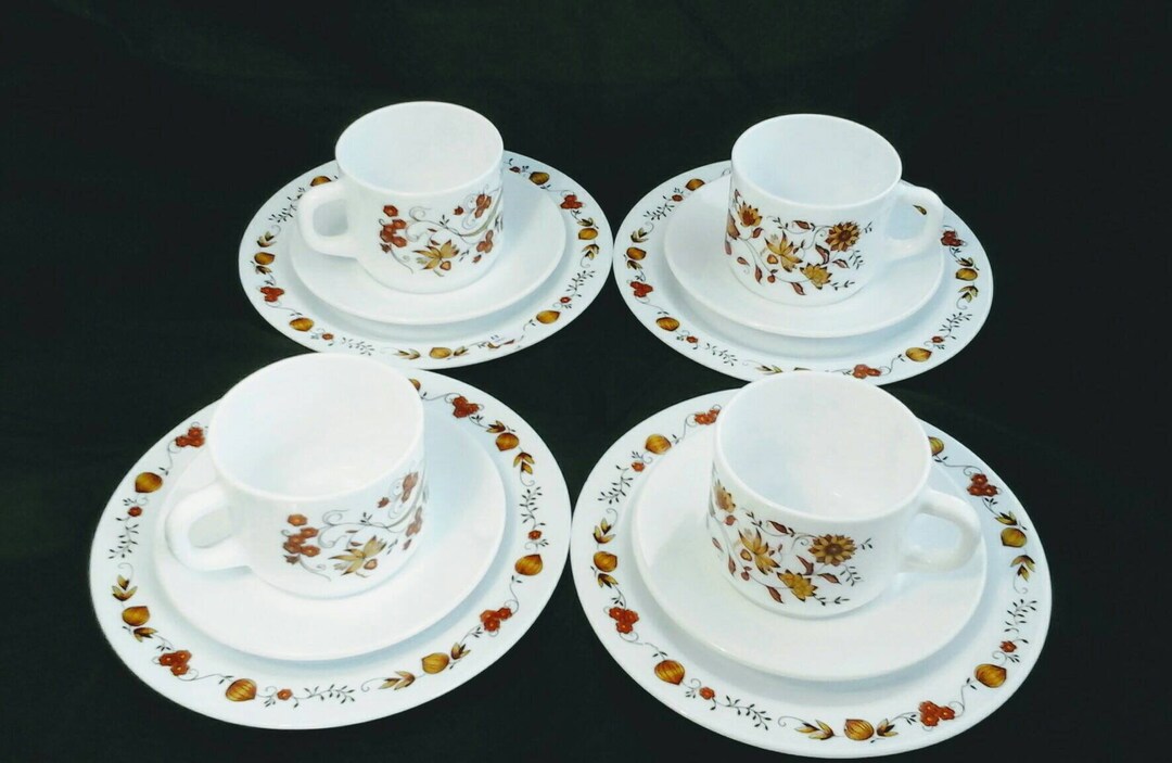 Vintage Arcopal Français Pyrex Milk Glass Dinner Set Retro Brown Onion ...