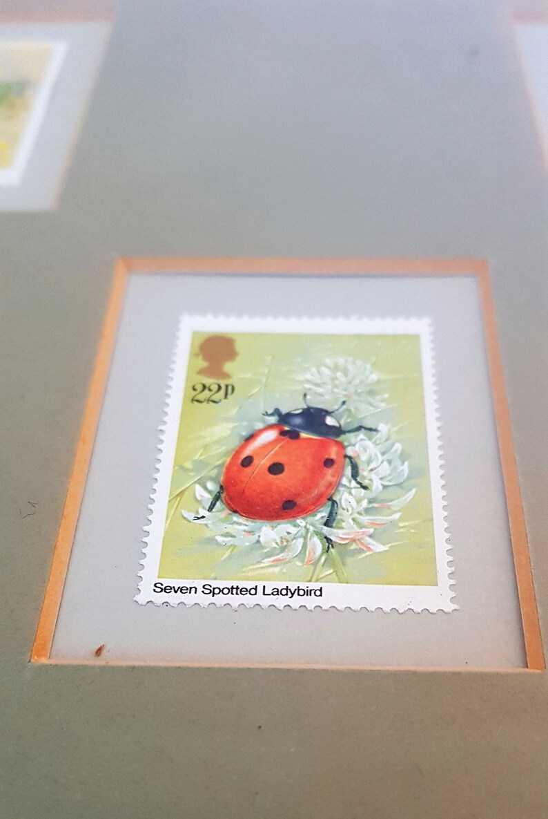 Collectable 1985 Insect Stamps Profesionally Framed by C.M - Etsy