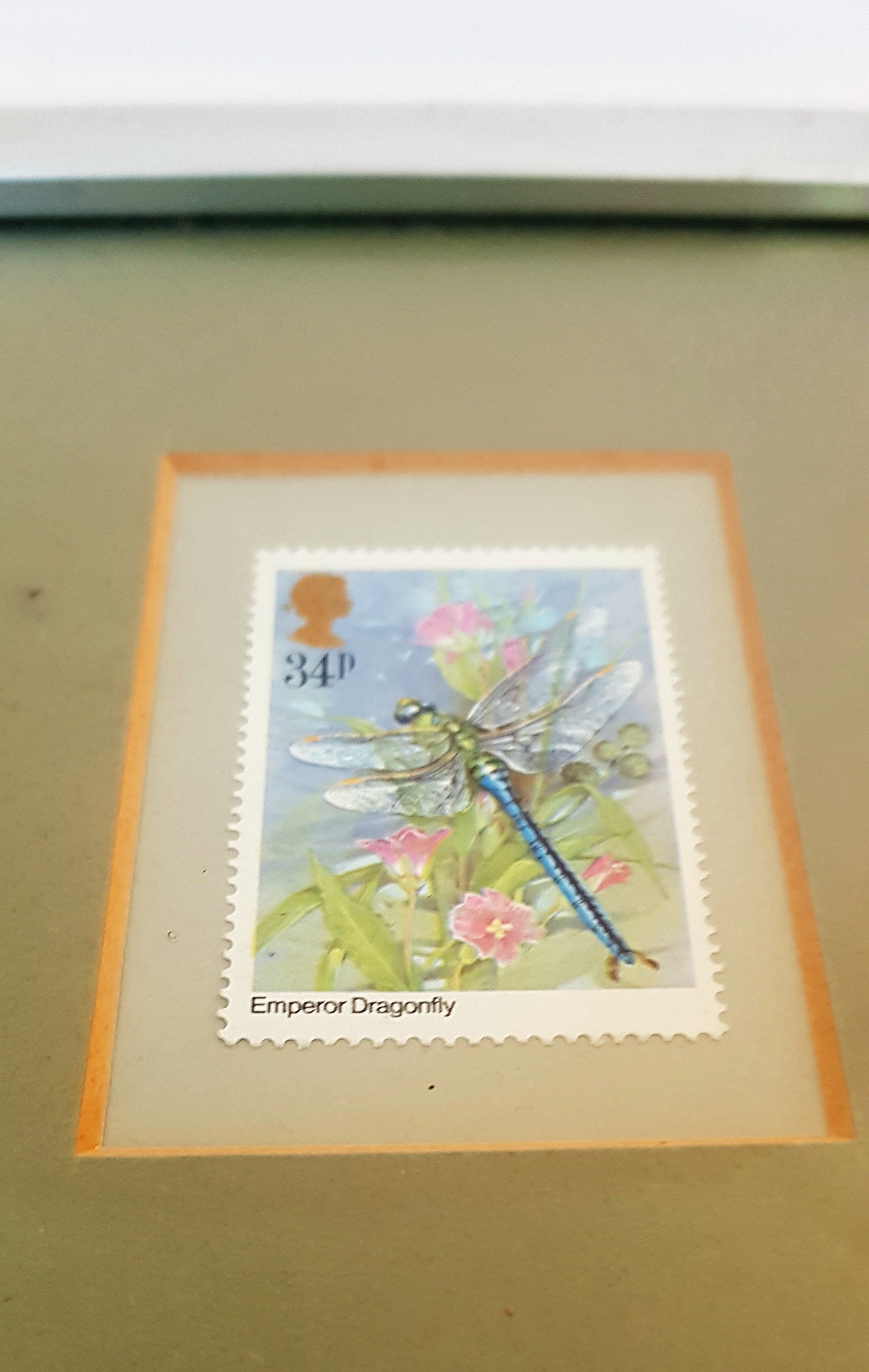 Collectable 1985 Insect Stamps Profesionally Framed by C.M - Etsy