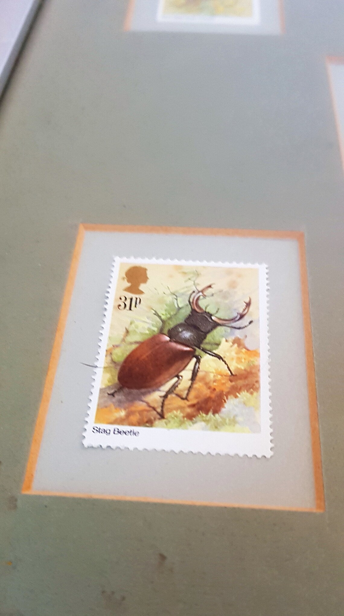 Collectable 1985 Insect Stamps Profesionally Framed by C.M - Etsy