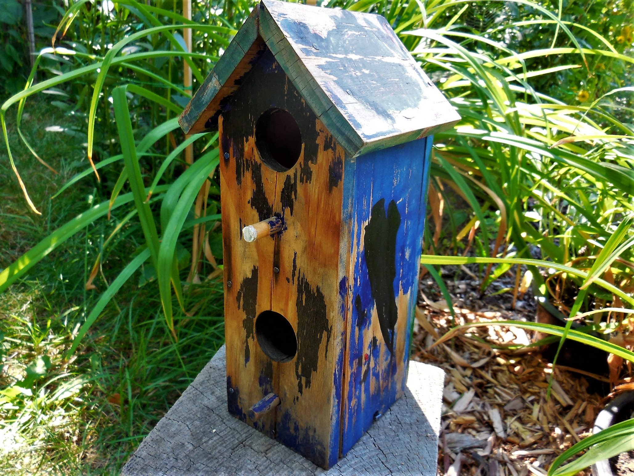 Funky Bird House, Hand Crafted Authentic Bird House, Artist Colour ...
