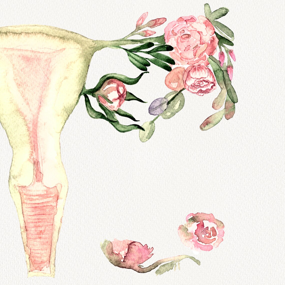 Uterus Png Watercolor Printable Instant Download Uterus Etsy