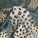 Mesh, Knit Fabric, Flocked Black Leopard Print, 90/10 Poly Spandex, , 2 ...