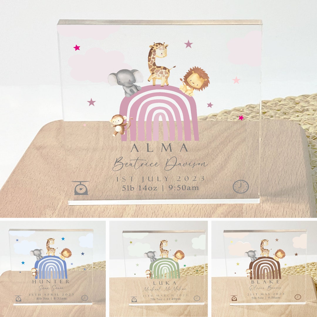 Baby Birth Details Plaque, Baby Arrival Plaque, Nursery Decor, Rainbow ...