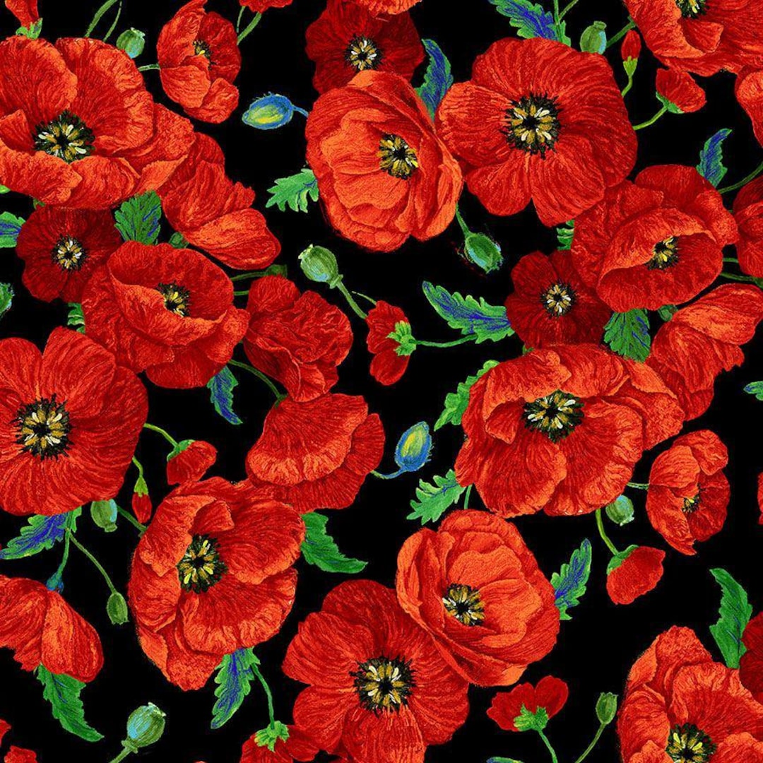 Poppy Dreams Fabric by Timeless Treasures, Poppy Bouquet, Red Flowers ...