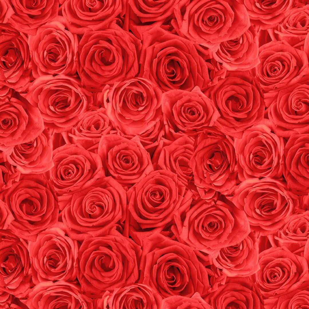 Rendezvous Packed Roses Fabric by Timeless Treasures, Red Roses ...