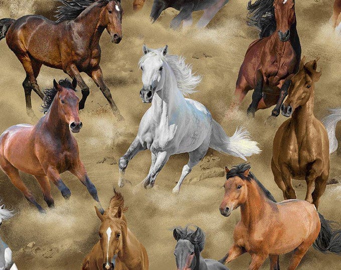 Running Wild Horses Fabric by Timeless Treasures, Wild Horses, CHONG-A ...