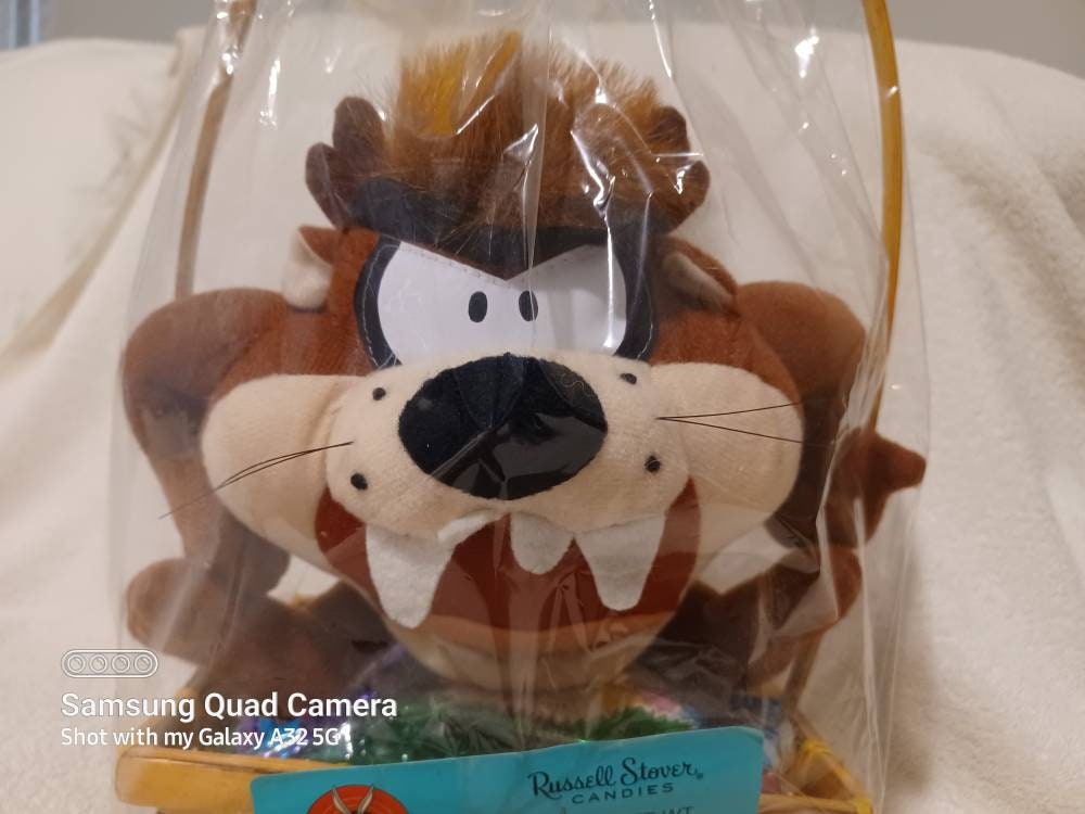 Vintage Looney Tunes Taz Plush in Easter Basket - Etsy