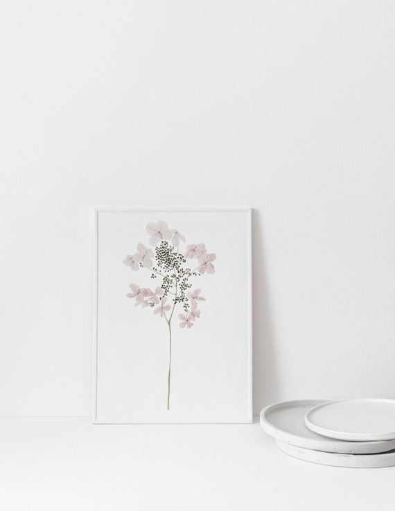 Botanical Flower Print Watercolour Flower Print Flower | Etsy