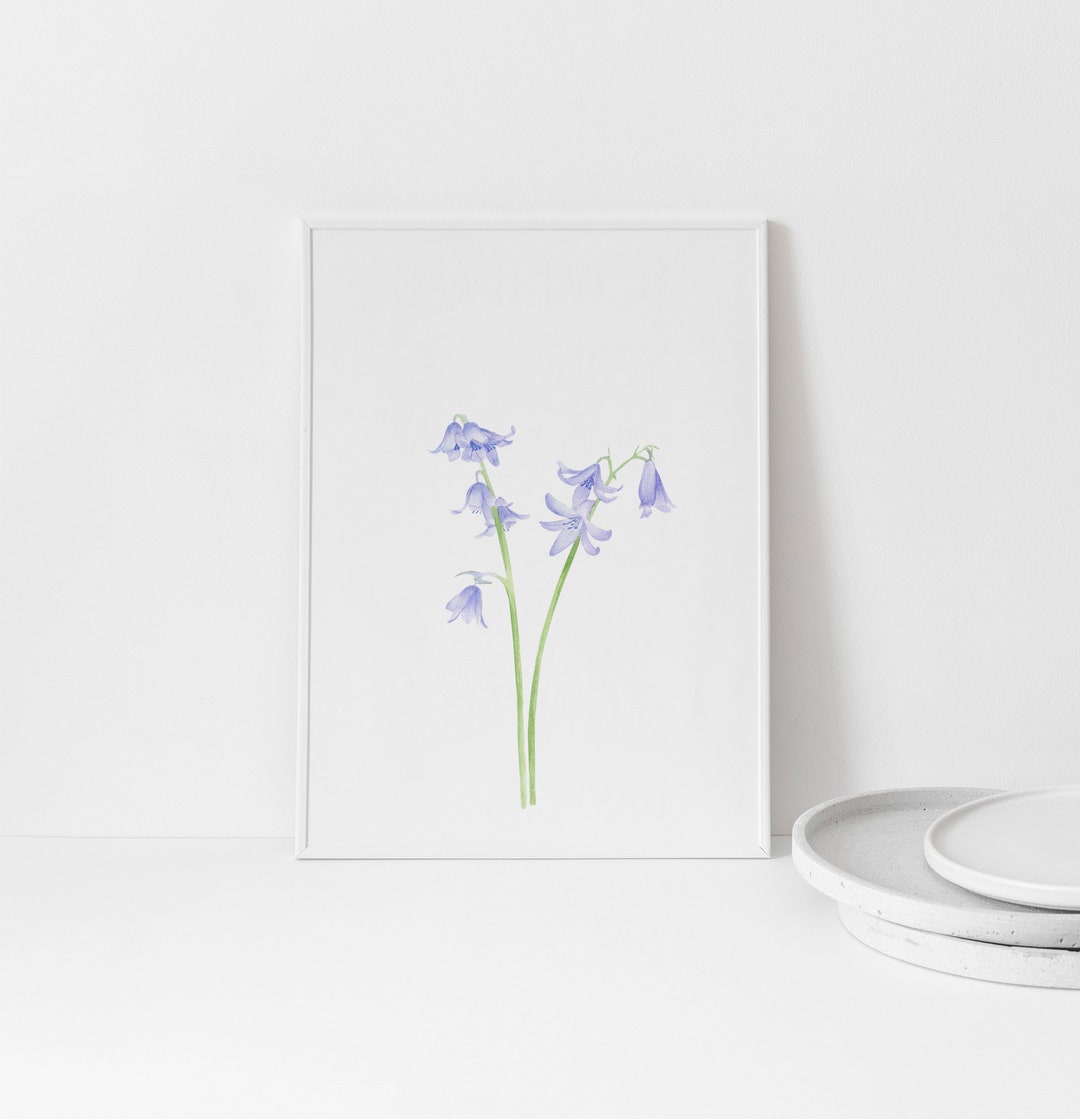Bluebell Art Print | Botanical Watercolour Print | Wildflower - Etsy